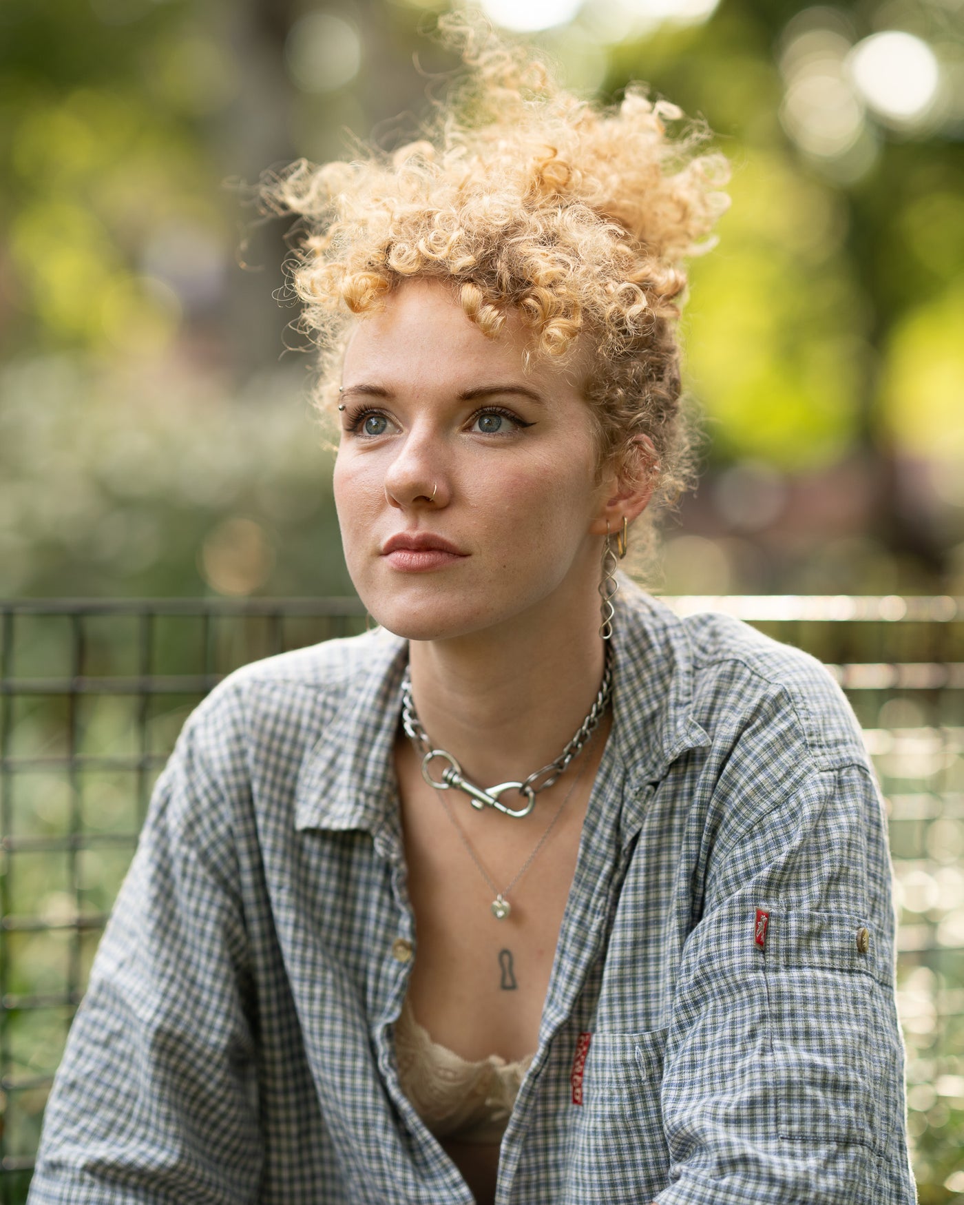 Collections – Dgphotoholic